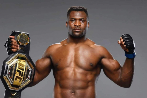 MMA Heavyweights Tier List (Community Rankings) - TierMaker