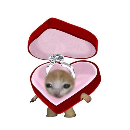 Create A Mod Rank List Tier List Tiermaker