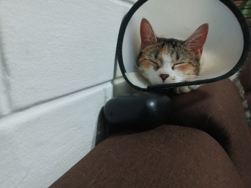 Create A Mods Tier List Tiermaker