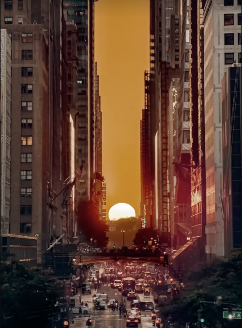 Create a money (gold) Tier List - TierMaker