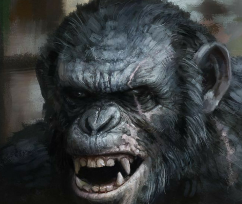 Monke Isles OPM Disaster Levels Tier List (Community Rankings) - TierMaker