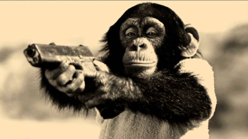 Monkey Inc Members Tier List (Community Rankings) - TierMaker