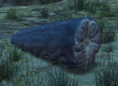 Monster Hunter Rise Tails Tier List (Community Rankings) - TierMaker