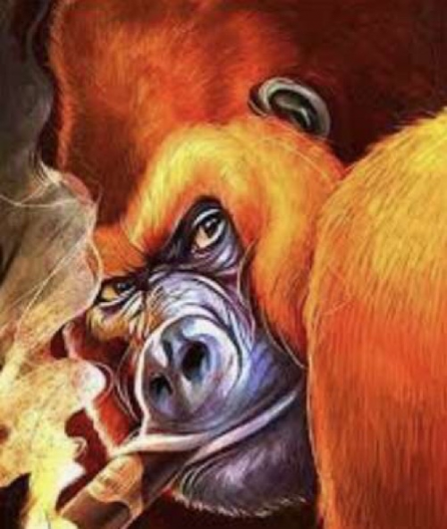 Most liked TMX members Tier List (Community Rankings) - TierMaker