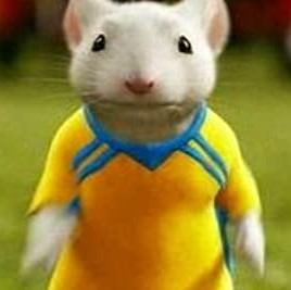 Most Powerful Rats Tier List (Community Rankings) - TierMaker