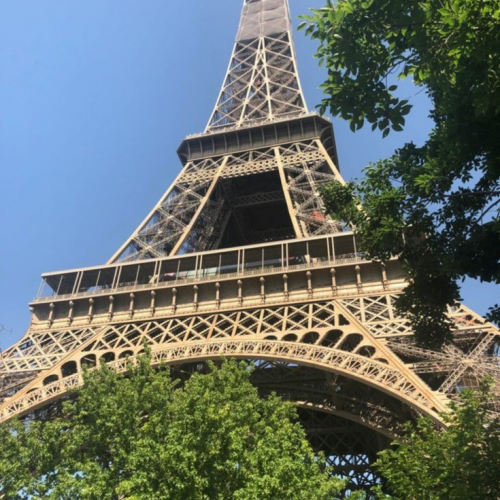 Mr.Wenndt/Mr. Miller classmate ranking Tier List (Community Rankings ...