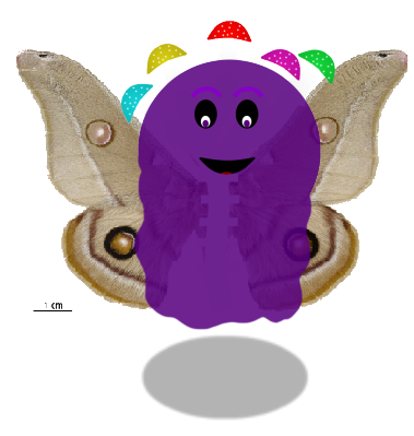 Create a MSM Quibble Fan Travelers of Time Tier List - TierMaker