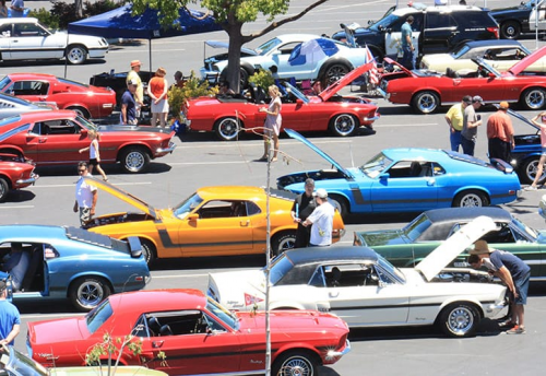 Create a Mustang cars Tier List - TierMaker