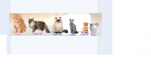 My 6 Cats Tier List (Community Rankings) - TierMaker