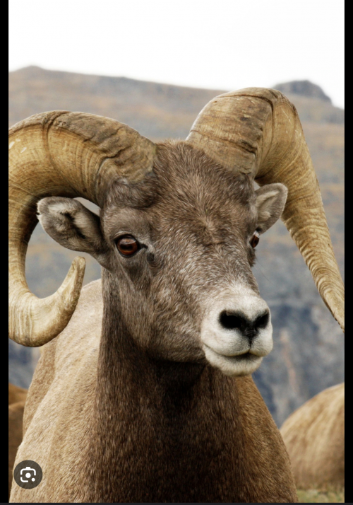 My hot girlfriend Tier List (Community Rankings) - TierMaker