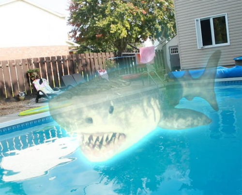 my personal special little guys Tier List (Community Rankings) - TierMaker