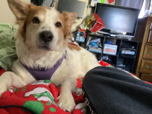 my random shit Tier List (Community Rankings) - TierMaker