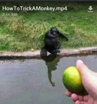 Create a mythical tierlist Tier List - TierMaker