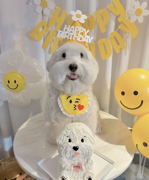 Create A Nba 2k Sim Season 1 Tierlist Tier List Tiermaker