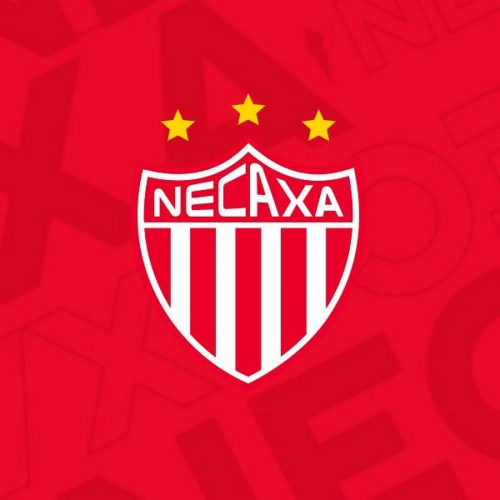 Create a Necaxa 2008 premier Tier List - TierMaker