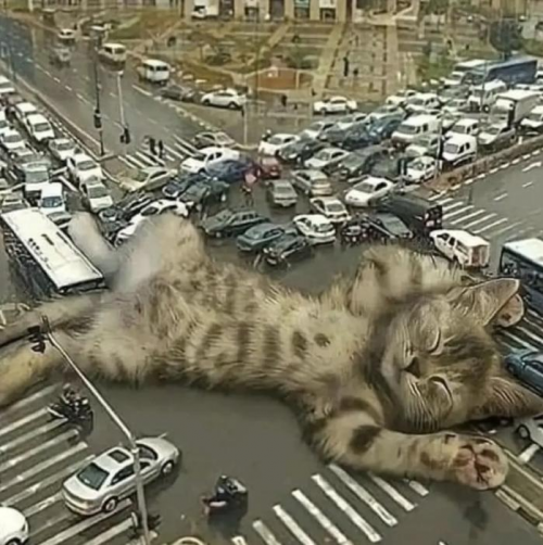 Neeshnoo's 7TV Emotes Tier List (Community Rankings) - TierMaker