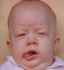 Create a NENE FEIO Tier List - TierMaker