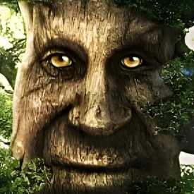 Tier List Maker - Create a Tier List - TierMaker