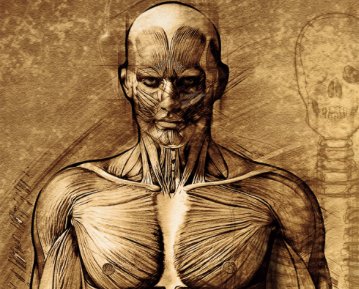 Create a Non ability human characters Tier List - TierMaker