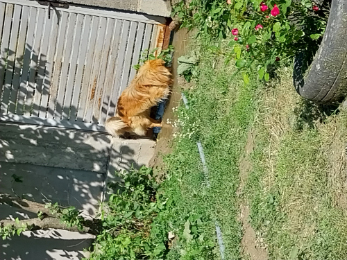 NU MAI STU Tier List (Community Rankings) - TierMaker