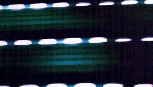 Create A NÉzŐ Tierlist V2 Tier List Tiermaker