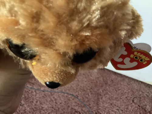 Create A Oc Rankings Tier List Tiermaker