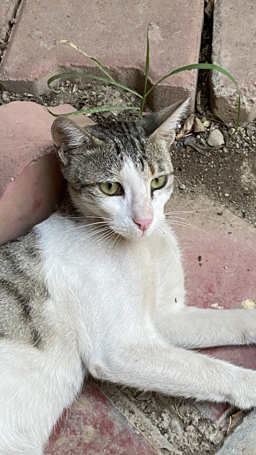 Oc teirlist—tytr Tier List (Community Rankings) - TierMaker