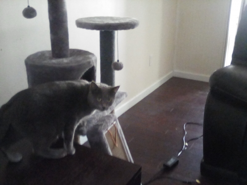 Create a Old call of duty characters Tier List - TierMaker