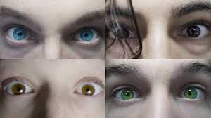 Create a Oljud 3jiop Tier List - TierMaker