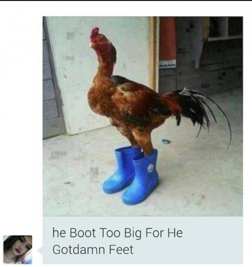 Create a Oracle of the 8 legs funni Tier List - TierMaker