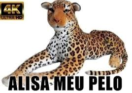 os bugas Tier List (Community Rankings) - TierMaker