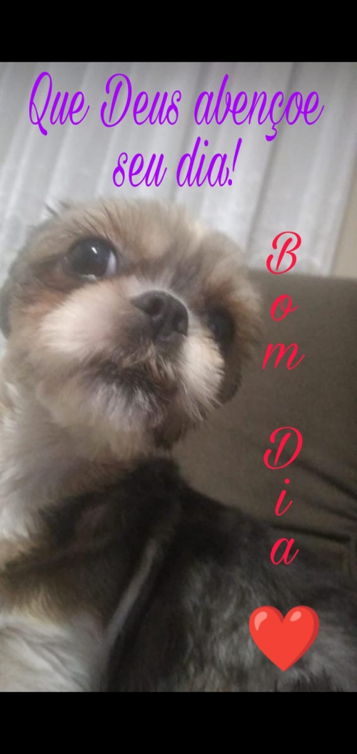 Os crias Tier List (Community Rankings) - TierMaker