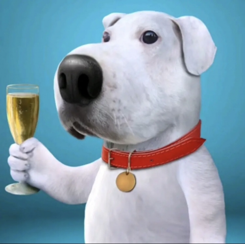 Create a PAB contestants tierlist(+Pablo) Tier List - TierMaker