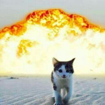 Create a Papus (de nuevo xd) Tier List - TierMaker