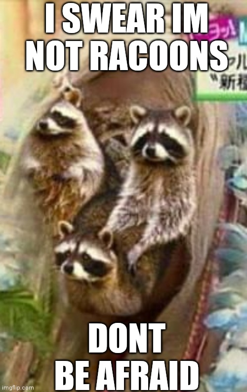 Paradise gyarusa Tier List (Community Rankings) - TierMaker