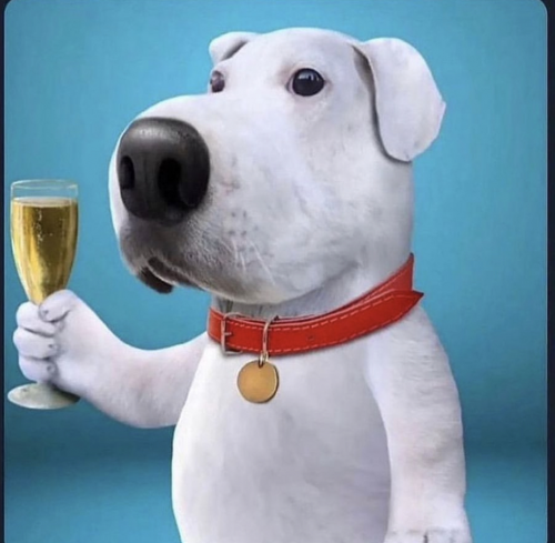 Create A Peak Fiction Tier List Tiermaker