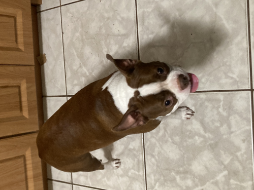 People I’m god wit Tier List (Community Rankings) - TierMaker