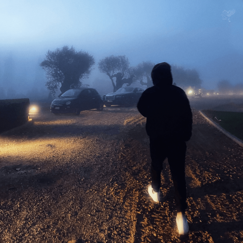 Create a pharaoh philharmonia Tier List - TierMaker