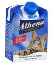 Piima Tier List (Community Rankings) - TierMaker