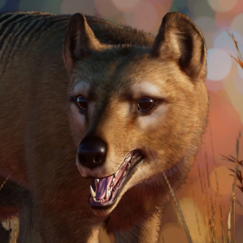 Planet Zoo | New Species | 1.2 Tier List (Community Rankings) - TierMaker