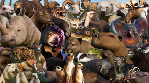 Planet Zoo DLC (Nov 2019 - Oct 2024) Tier List (Community Rankings ...