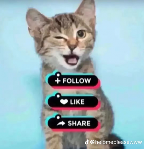 Create a plob core Tier List - TierMaker