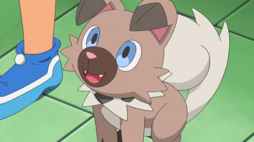 Pokemon Dogs and Dog Adjacent Tier List (Community Rankings) - TierMaker