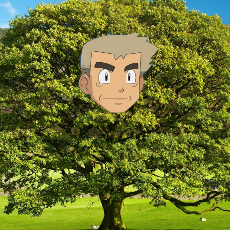 Create a Pokemon Professor Trees Tier List - TierMaker