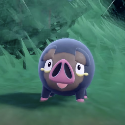 Pokemon Professors (updated for gen 9) Tier List (Community Rankings ...