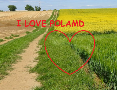 polish words that mean outside Tier List (Community Rankings) - TierMaker