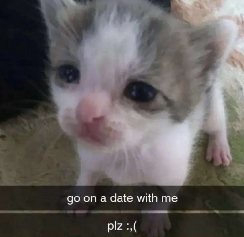 Polygon Scopes Tierlist Tier List (Community Rankings) - TierMaker