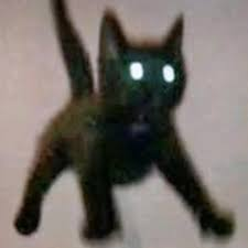 Create a Polynomers new country channels Tier List - TierMaker