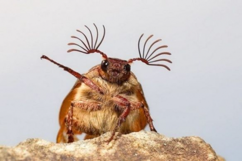 Create a poop squad Tier List - TierMaker