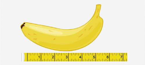 pp sizes Tier List (Community Rankings) - TierMaker